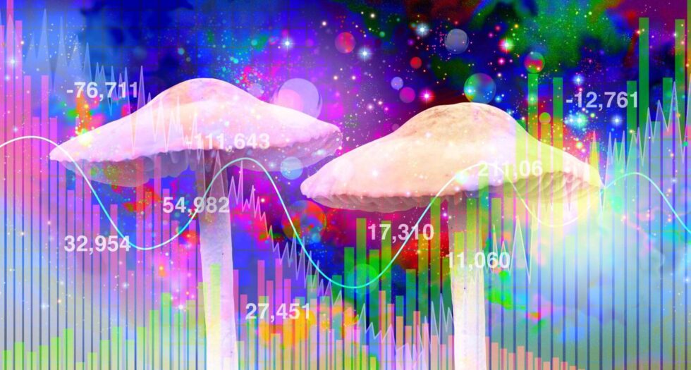 How Long Do Shrooms Stay in Your System? | CenterPointe